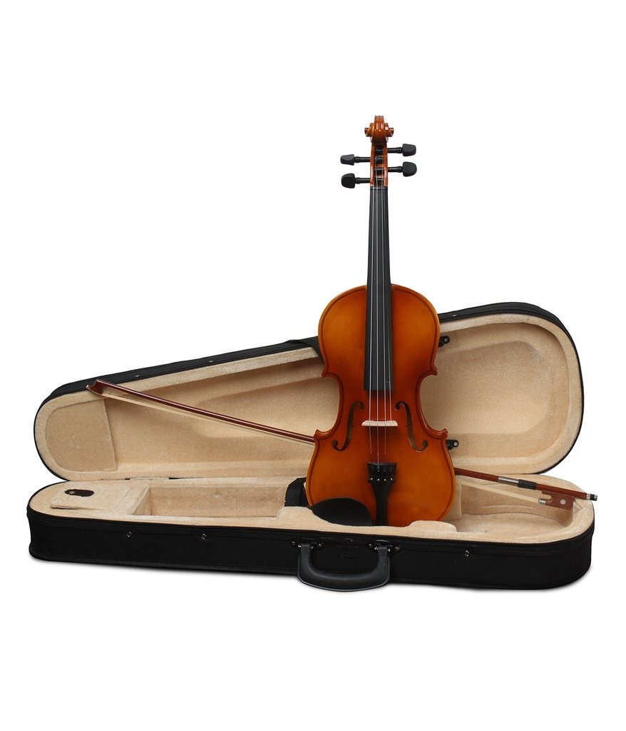 Procraft PR VS1 Violin Natural Colour for Best Price in India